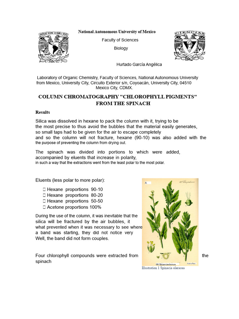Chlorophyll Pigment Separation via Column Chromatography | PDF ...