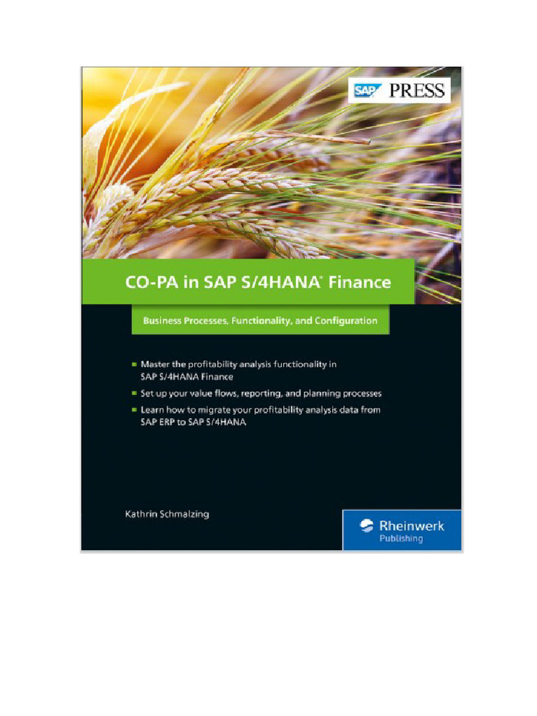 Configuración de CO-PA en SAP S/4HANA | PDF | Bases de datos | Contabilidad