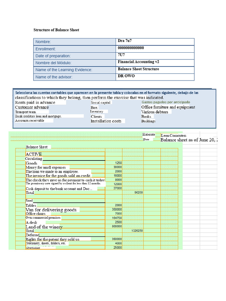 Balance_Structure of Balance Sheet_Uveg | PDF