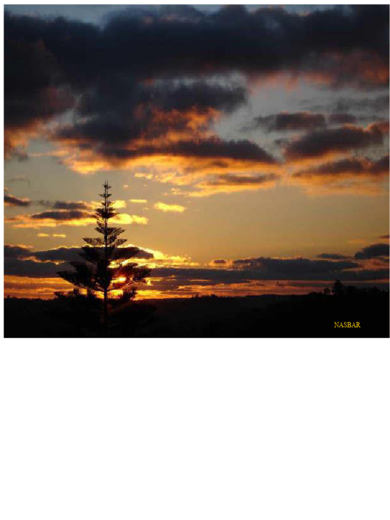 1.10 Structural Elements Subjected to Shear | PDF | Beam (Structure ...