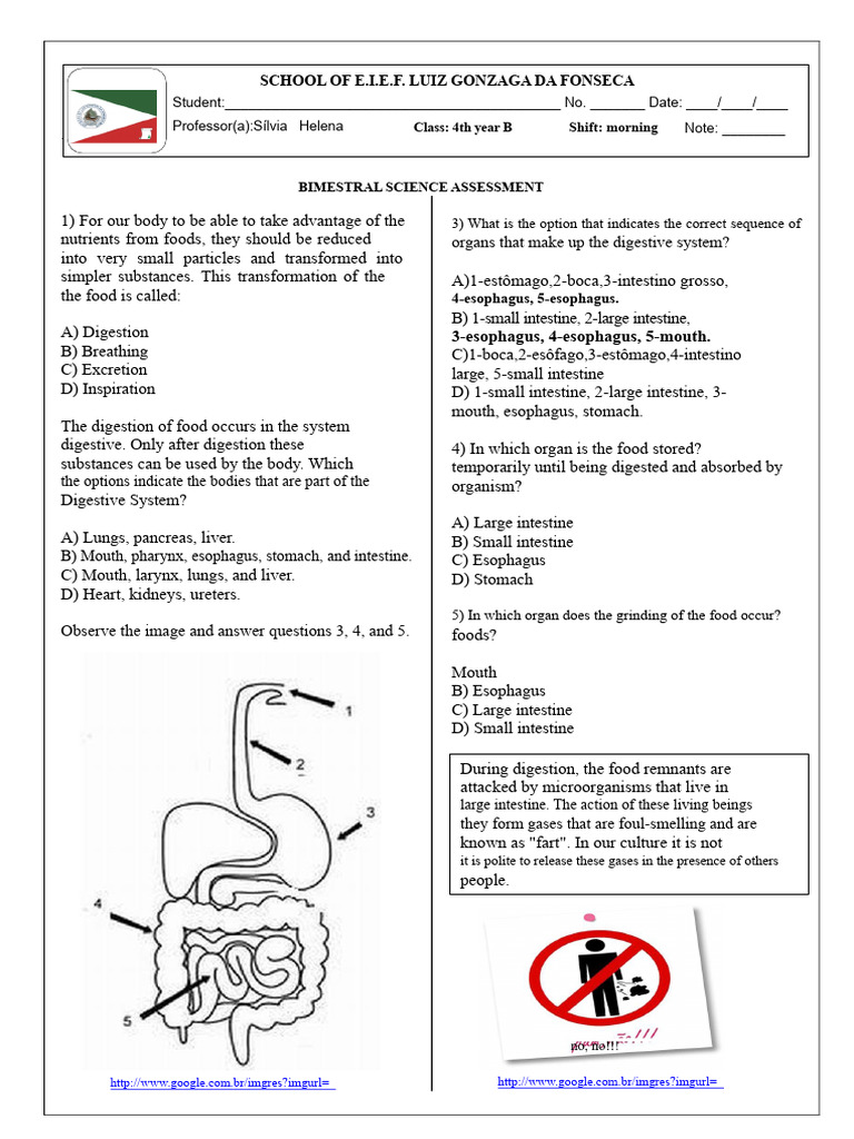 4th Year Science Assessment Guide | PDF | Digestion | Gastrointestinal ...