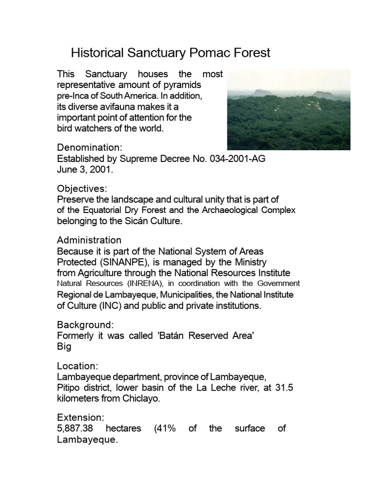 Pomac Forest: Pre-Inca Pyramids & Wildlife | PDF | Tropics | Earth Sciences