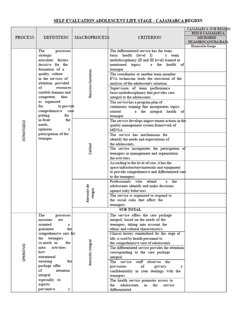 Self-Evaluation Adolescent Life Stage | PDF | Adolescence | Risk
