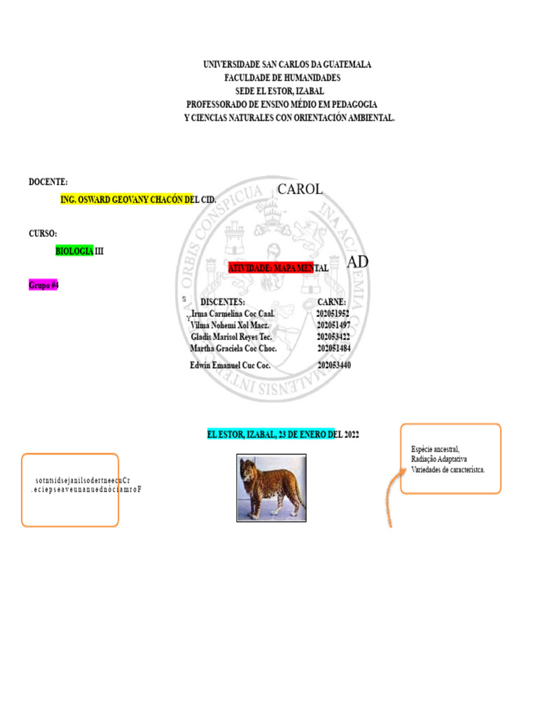 MAPA MENTAL DE BIOLOGIA III ORGANIZADO | PDF | Evolução | Biologia