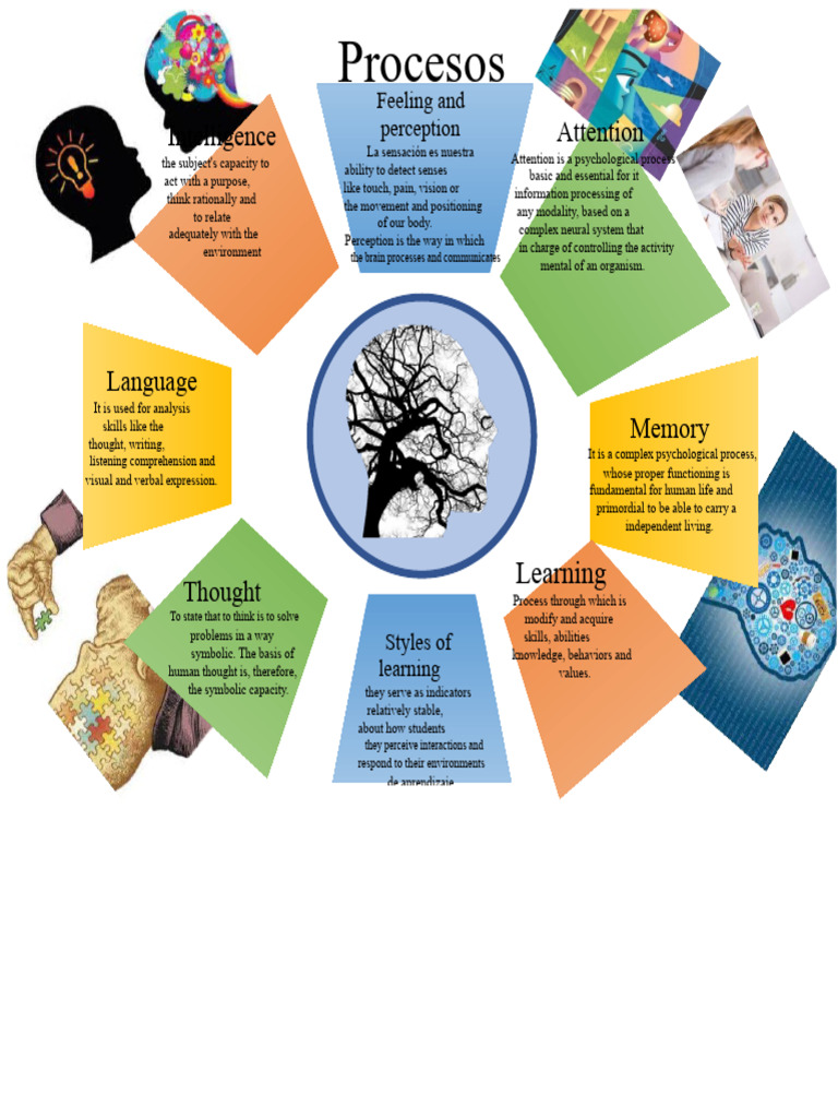 Psychological Processes | PDF | Perception | Thought