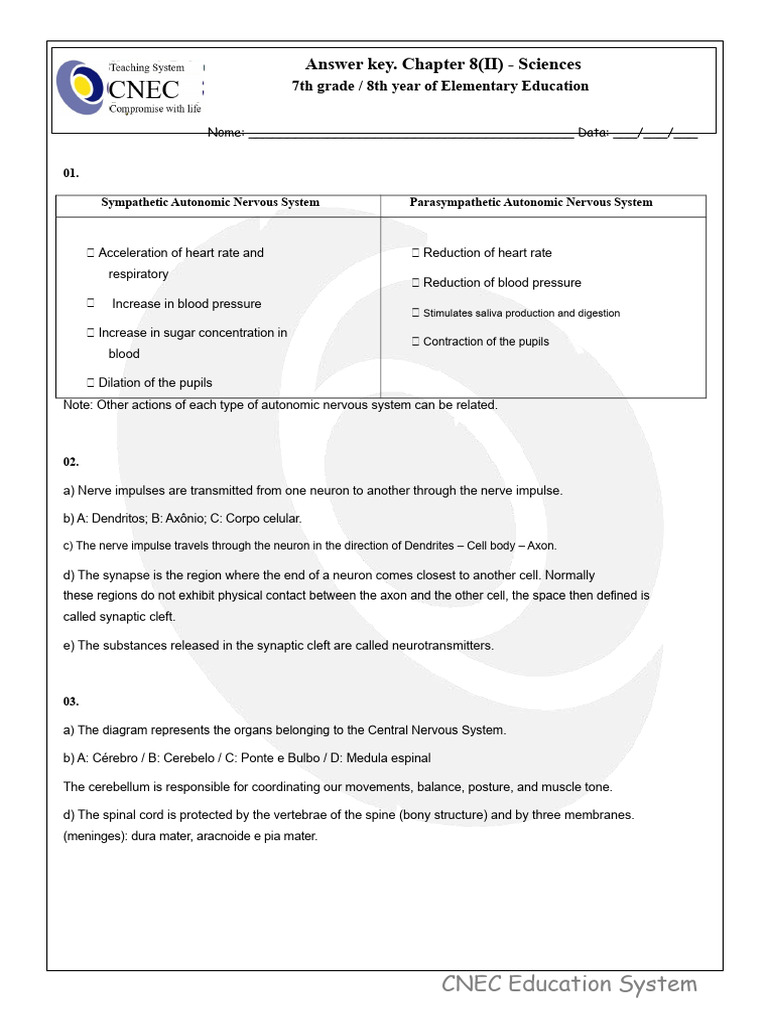 Activities Nervous System Drugs and Medications 7th Grade Vol. 3 Chap ...