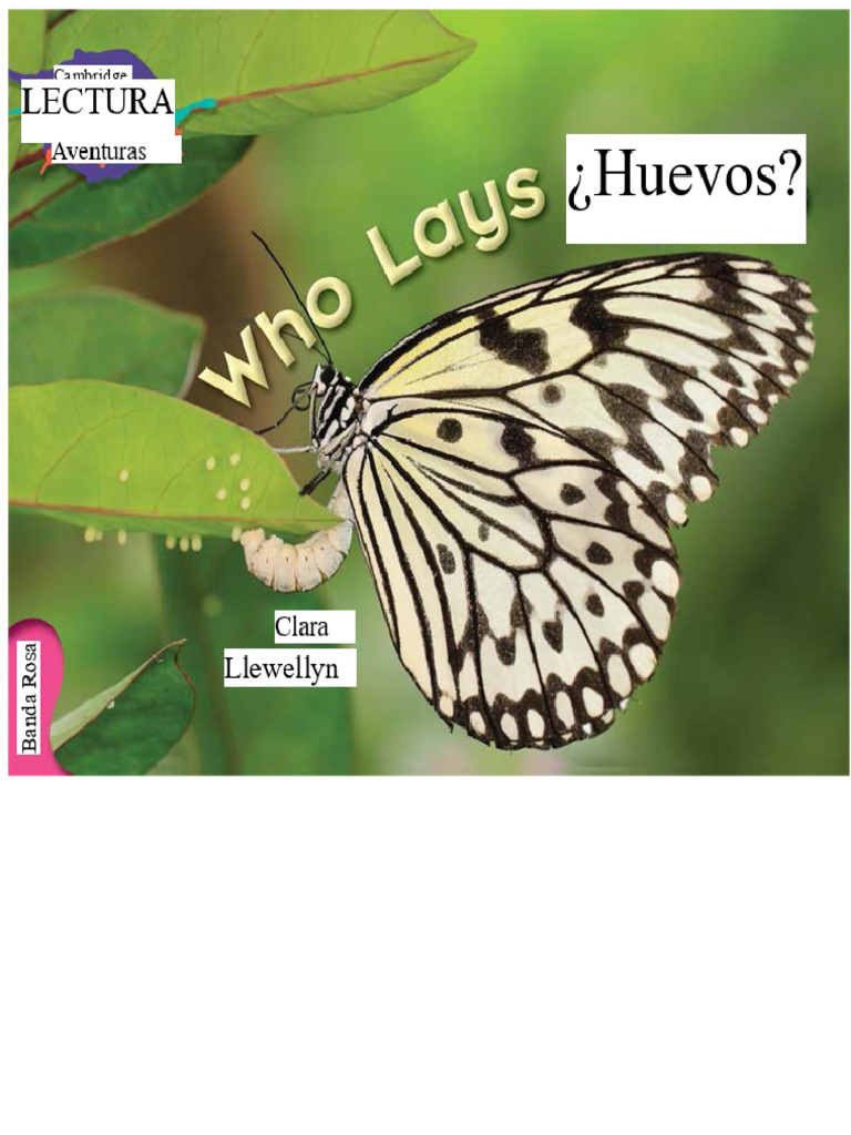 L1 Quién Pone Huevos No Ficción | PDF
