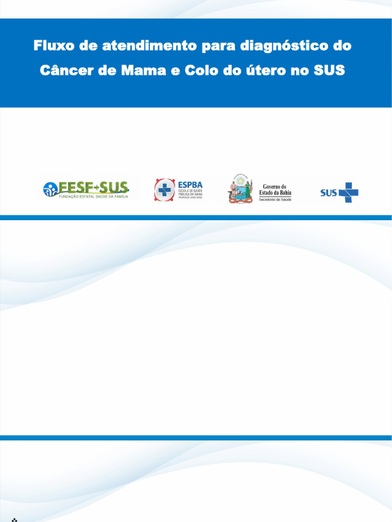 4 - Fluxo de Atendimento Para Diagnostico CA Mama e Colo - Enfa ...