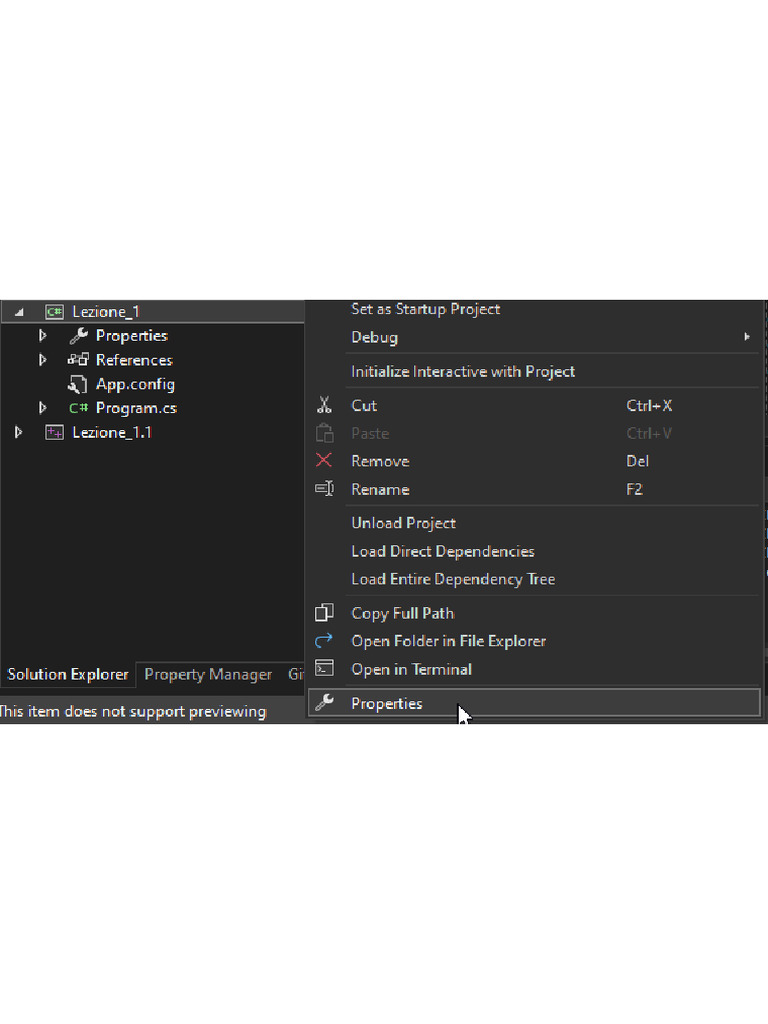 2024-10-20 15_36_09_2024 - Microsoft Visual Studio | PDF