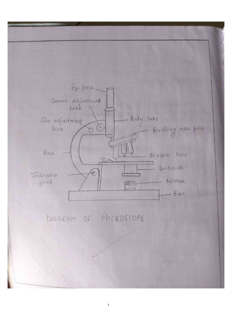 practical file work | PDF