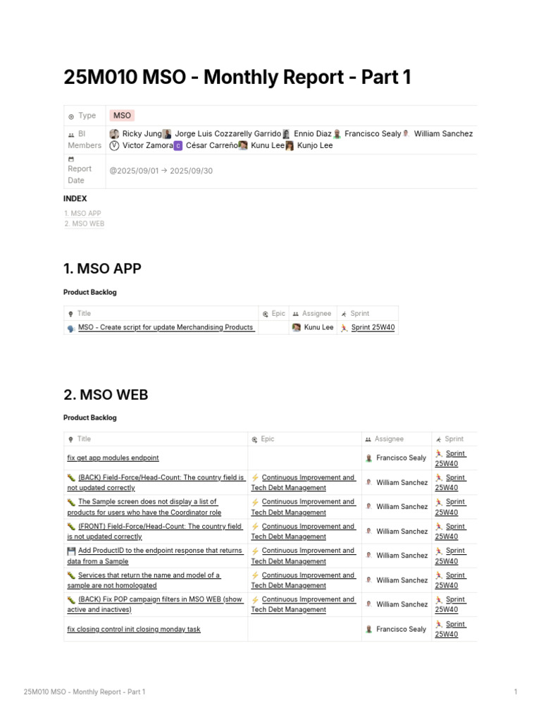 25M010 MSO - Monthly Report - Part 1 | PDF | Computing | Software