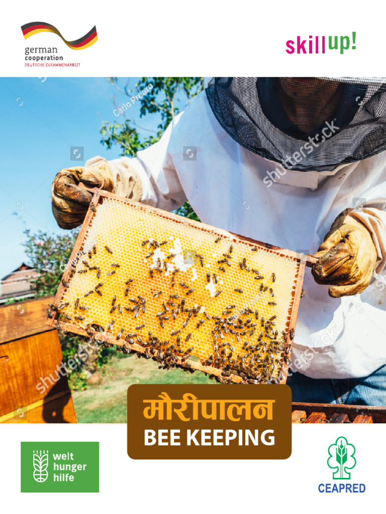 Essential Guide to Beekeeping Basics | PDF