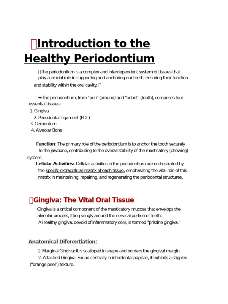 Understanding Healthy Periodontium | PDF | Human Tooth | Epithelium