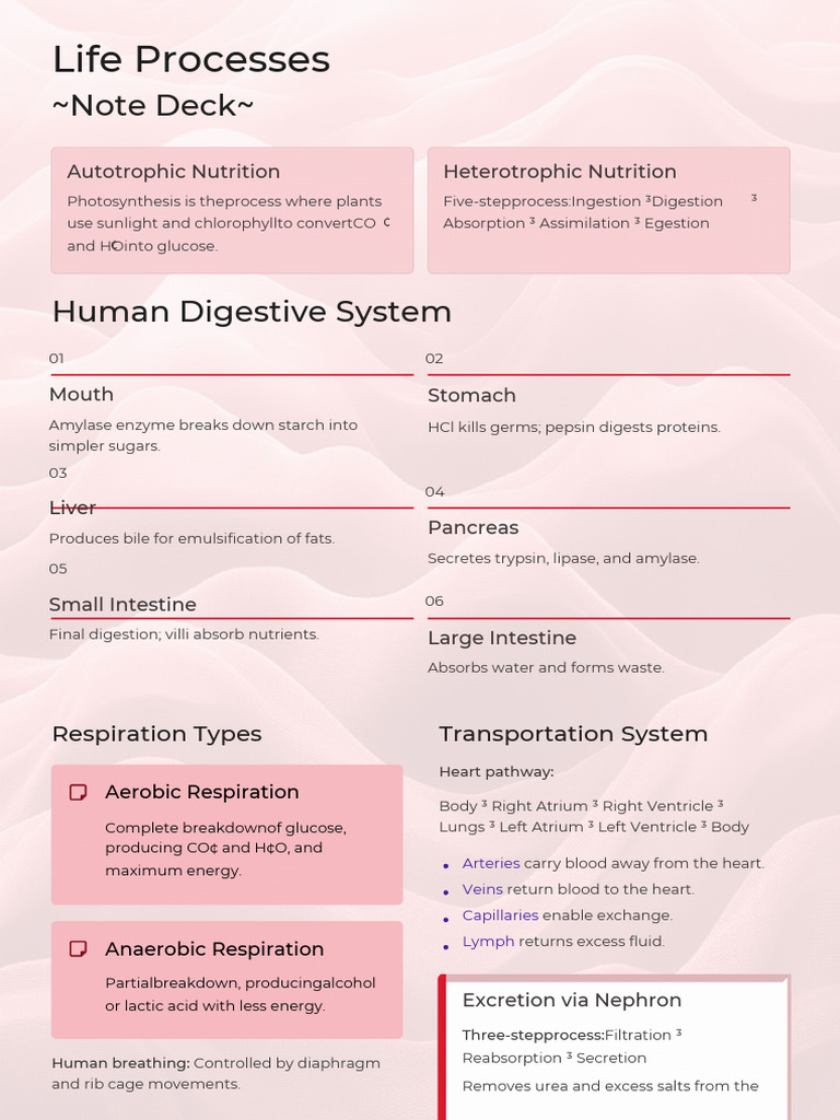Class 10th CBSE _ Cheat Sheet Note Deck (1) | PDF | Electromagnetic ...