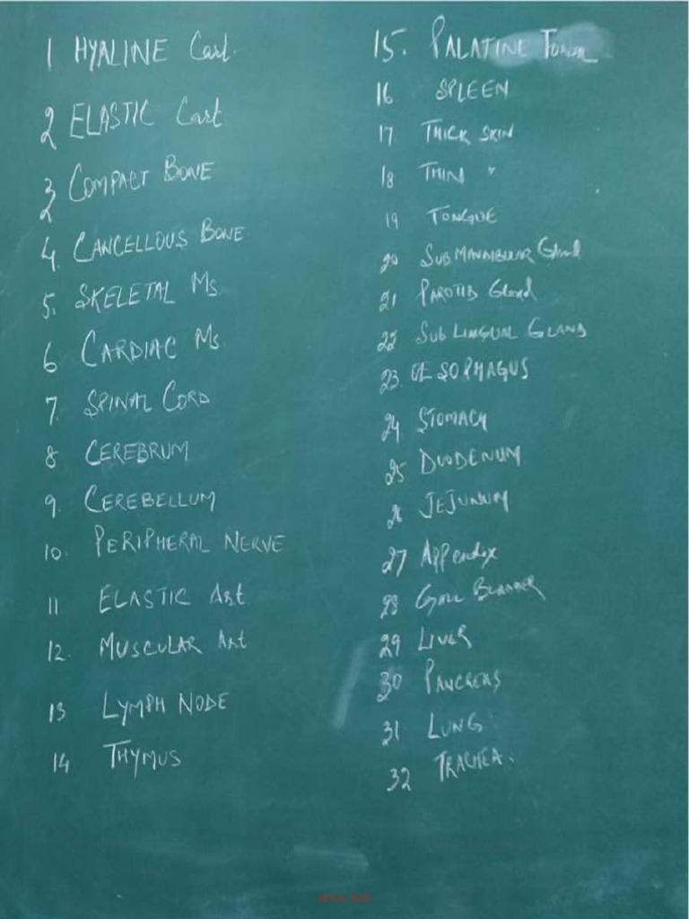 Histology Slides (4K UHD 3D 60FPS by PN) | PDF