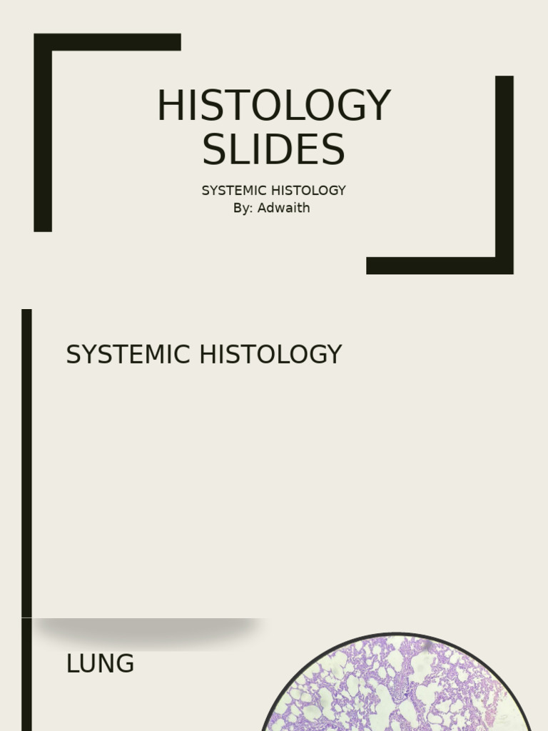 Systemic Histology Overview and Details | PDF | Epithelium | Stomach
