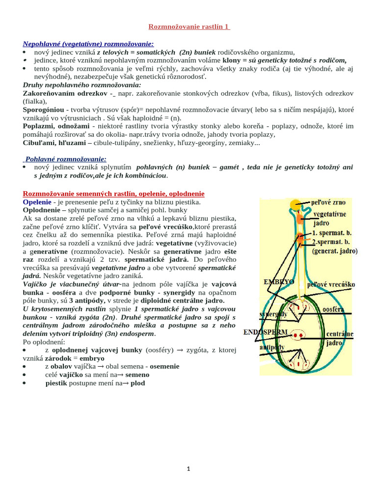 RozmnoÅ Ovanie Rastlã N 1 - Pohl. Nepohl. - Uä Eb. Materiã¡l 1.roä . | PDF