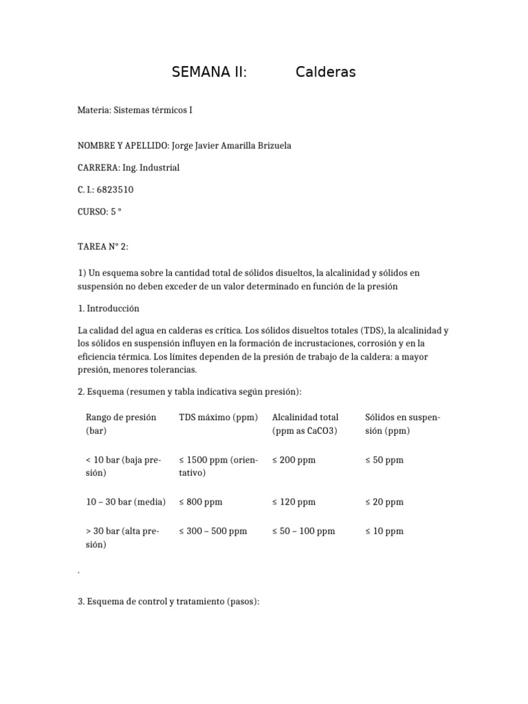TAREA II Calderas Jorge Javier Amarilla Brizuela | PDF | Agua | Caldera
