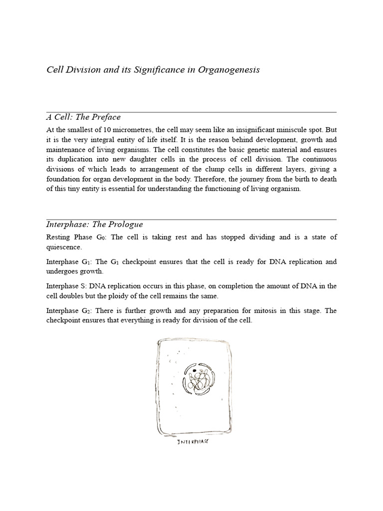 Anatomy CIA | PDF | Mitosis | Life Sciences