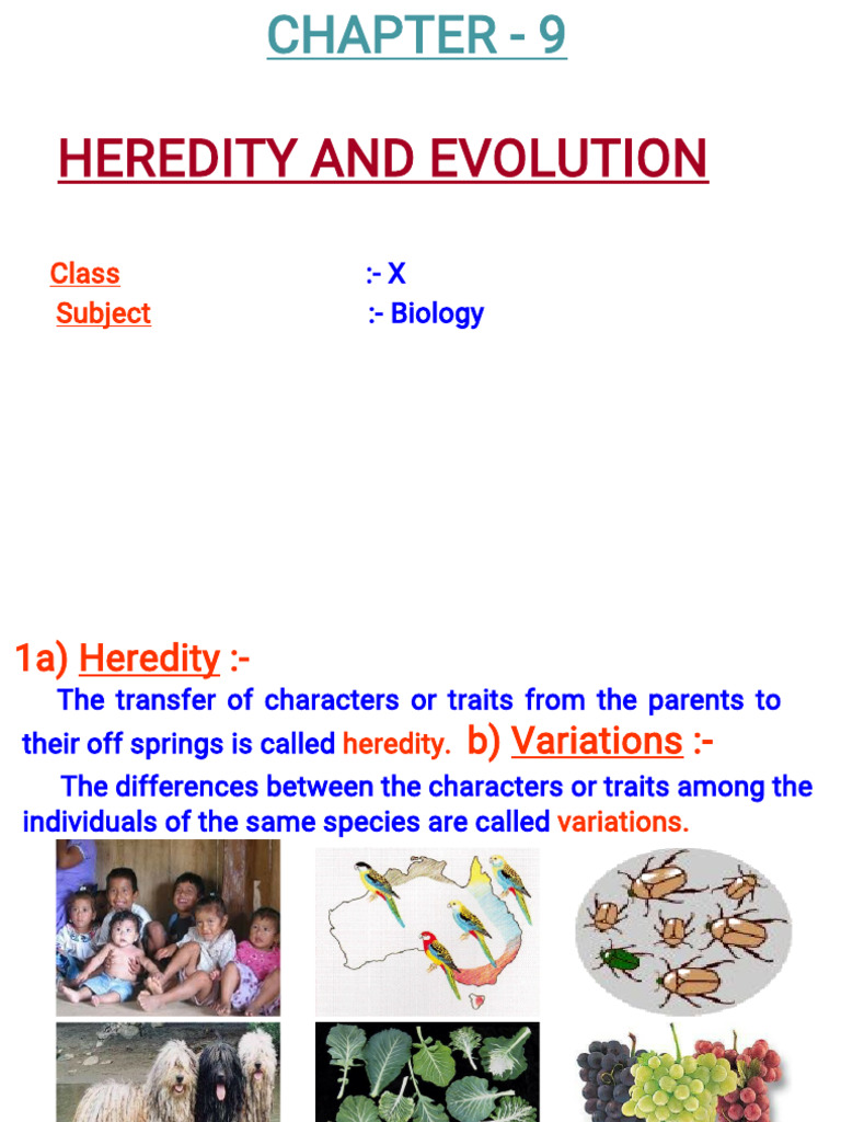 HEREDITY Final .Ppt-1(2)_085456 (Copy) | PDF | Heredity | Evolution
