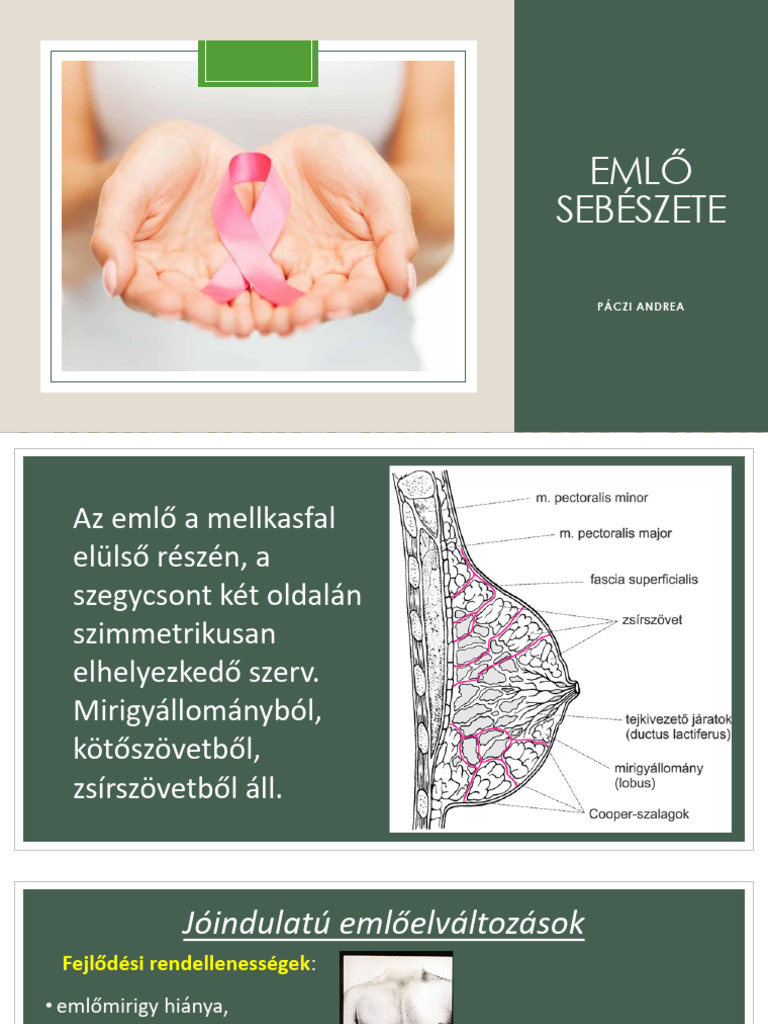 20 Emlå Sebã Szete | PDF