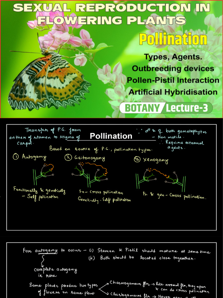 T4-SRFP - Pollination - Types, Agents 03-12-2025 | PDF
