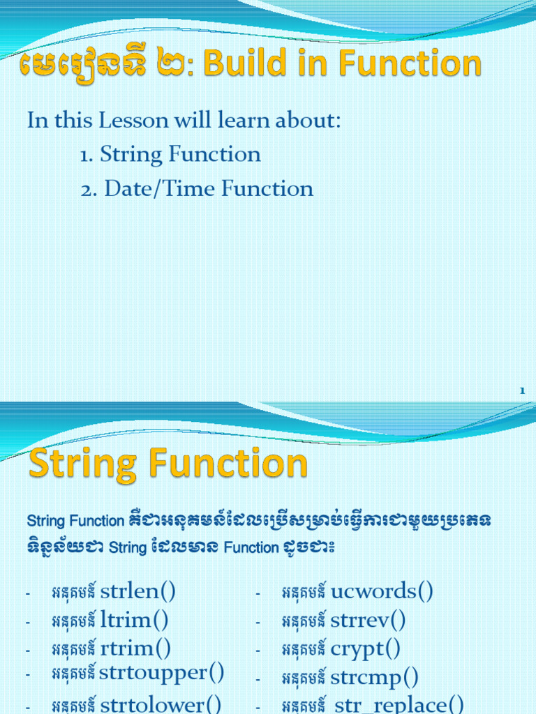 Lesson 2 Build-In Function | PDF