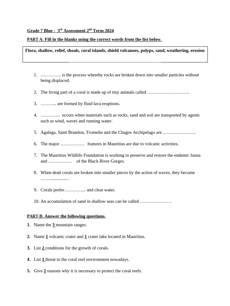Grade 7 Blue 3rd Assessment 2nd Term 2024 | PDF