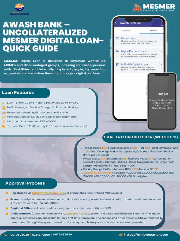 MESMER Digital Loan - One Pager Description | PDF | Loans | Debt