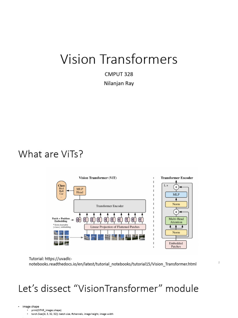 Vision Transformers | PDF | Statistical Classification | Algorithms
