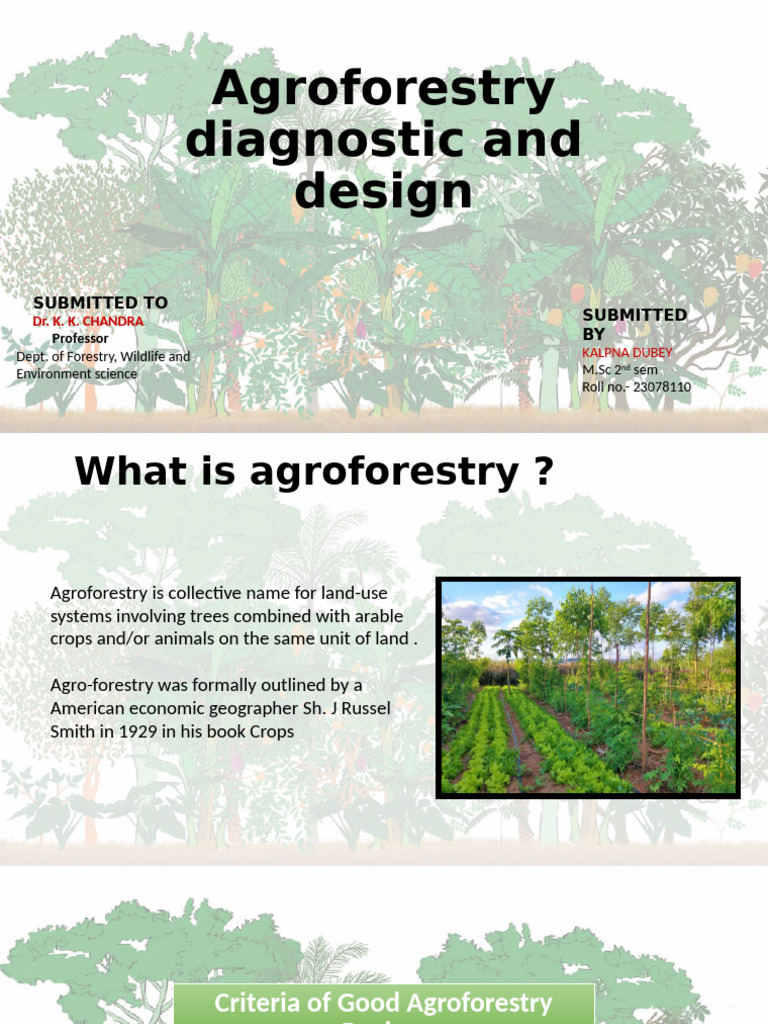 Agroforestry Diagnosis and Design Guide | PDF