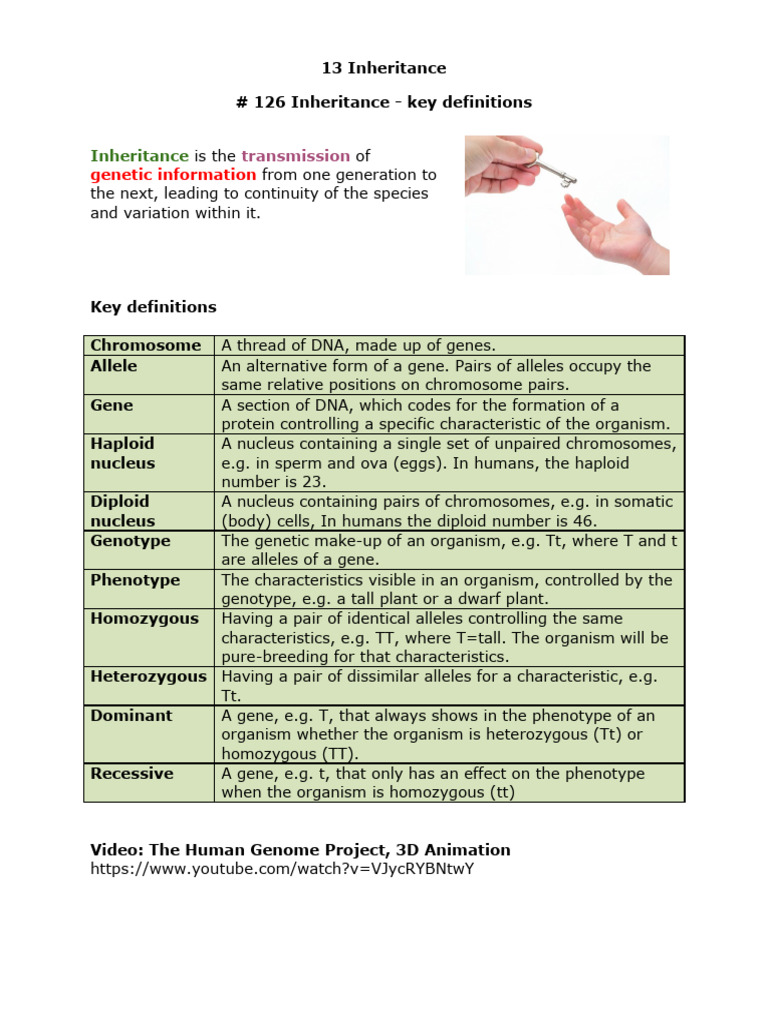 Biology Inheritance Notes IGCSE 2014 | PDF | Dominance (Genetics ...