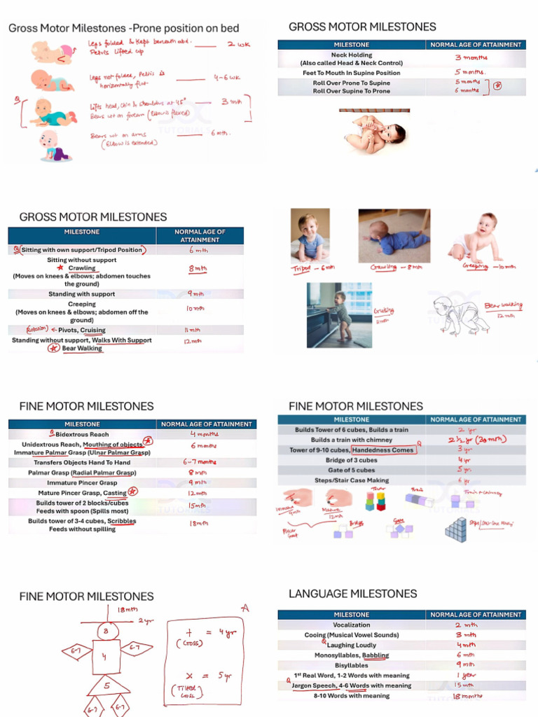Developmental Milestone Back | PDF