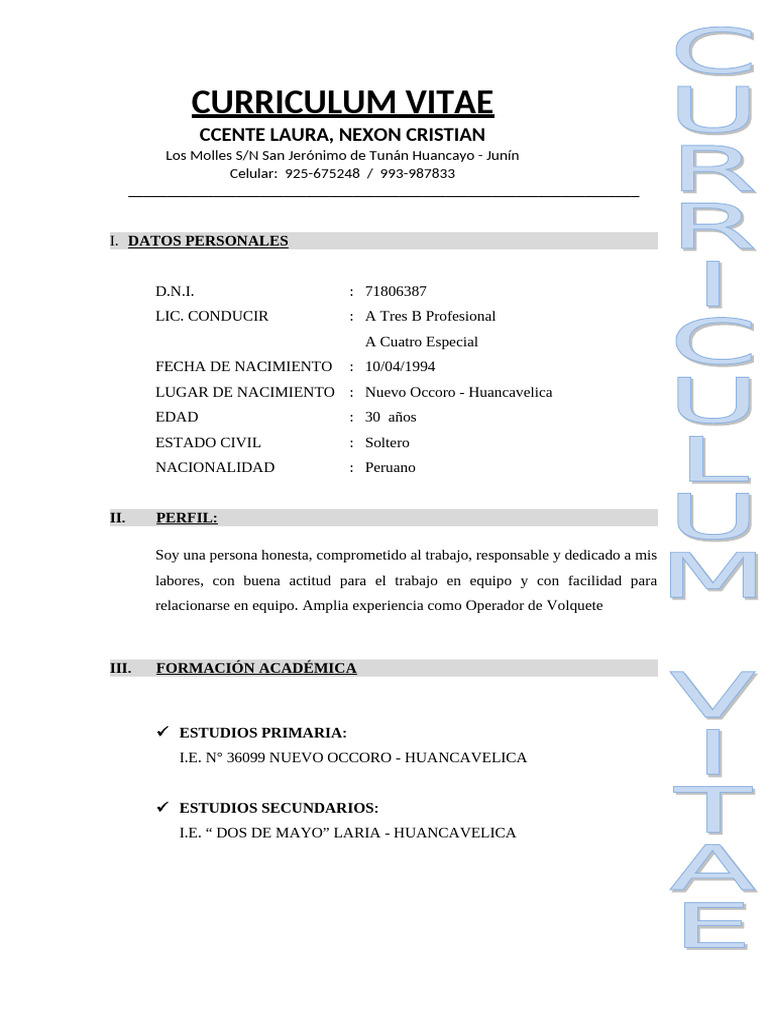 Curriculum CCENTE LAURA, NEXON CRISTIAN Octubre 25 | PDF | Documentos ...