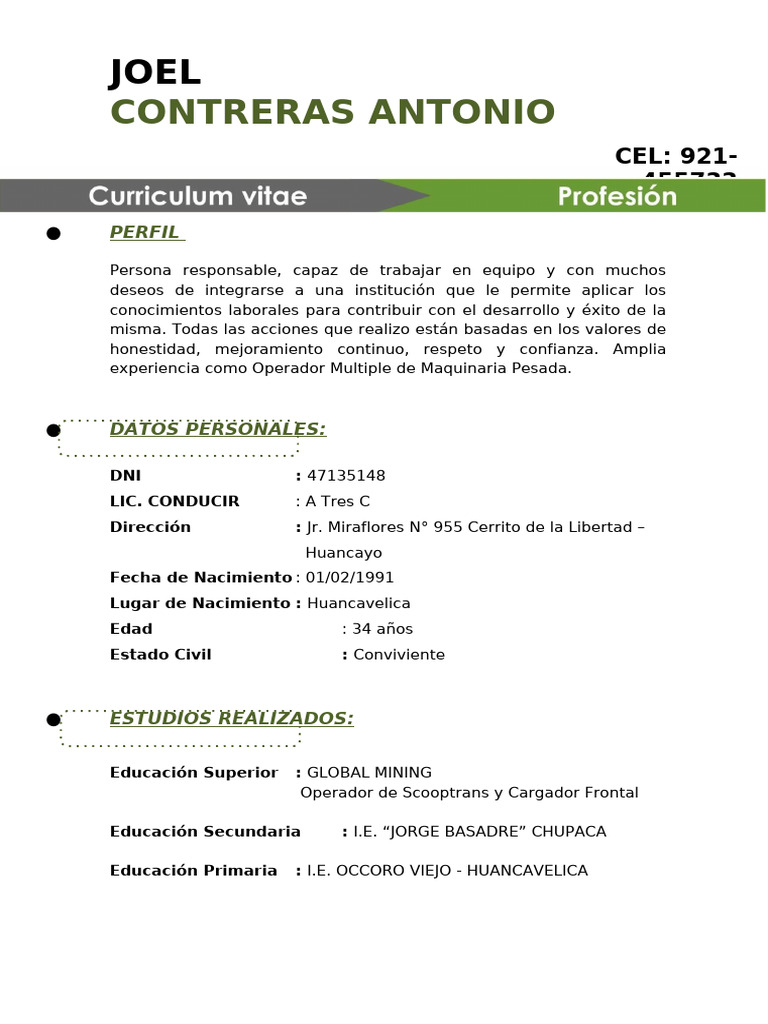 curriculum CONTRERAS ANTONIO | PDF | Cognición | Aprendizaje