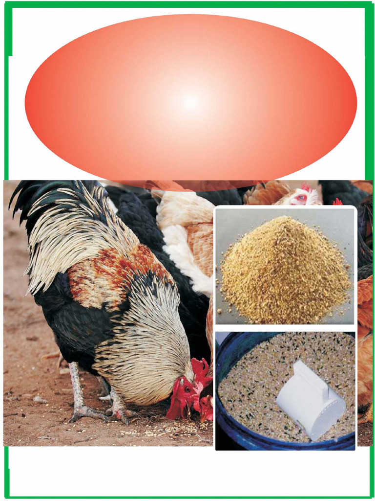 Making Own Poultry Feeds Formulae Rations Ingredients (1) | PDF ...