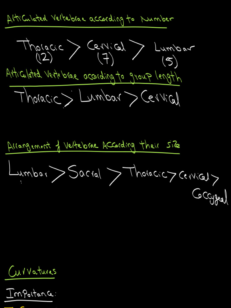 Thoracic 1 Sat | PDF