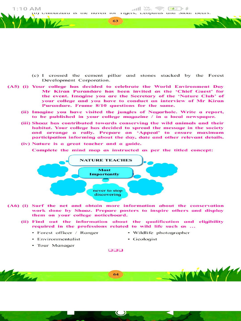 New Version of Essay | PDF