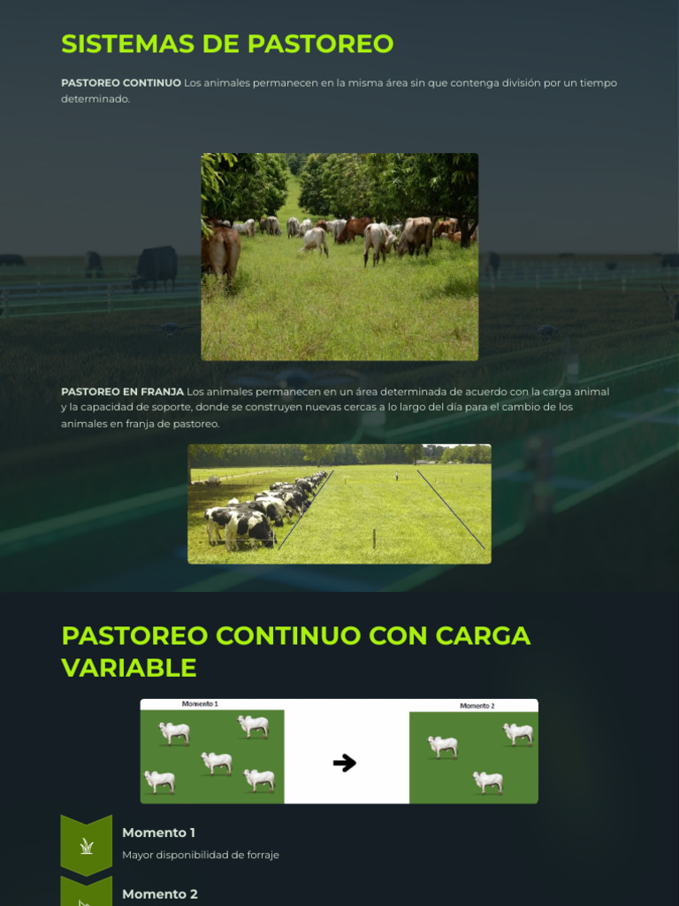 Sistemas de Pastoreo: Métodos y Manejo | PDF | Pasto | Pasto