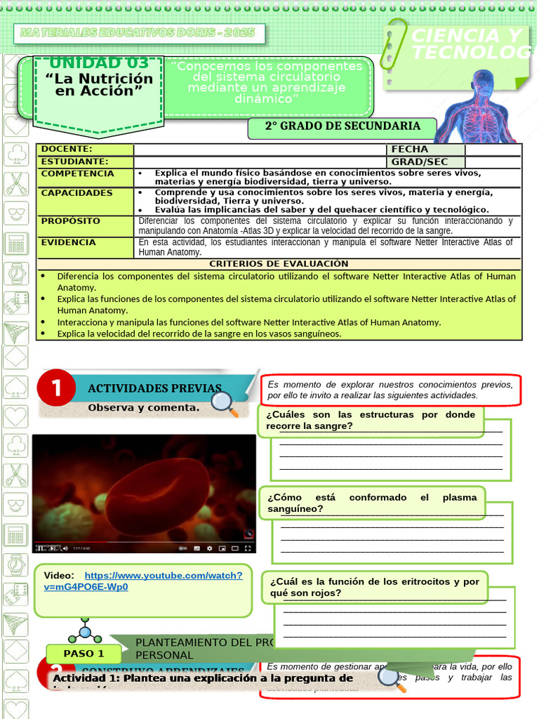 FICHA DE ACTIVIDAD CYT 2°SES5- SEMANA 3 | PDF | Vena | Sangre