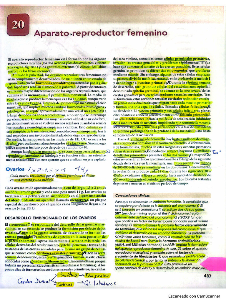 AP. Reproductor y Sentidos | PDF