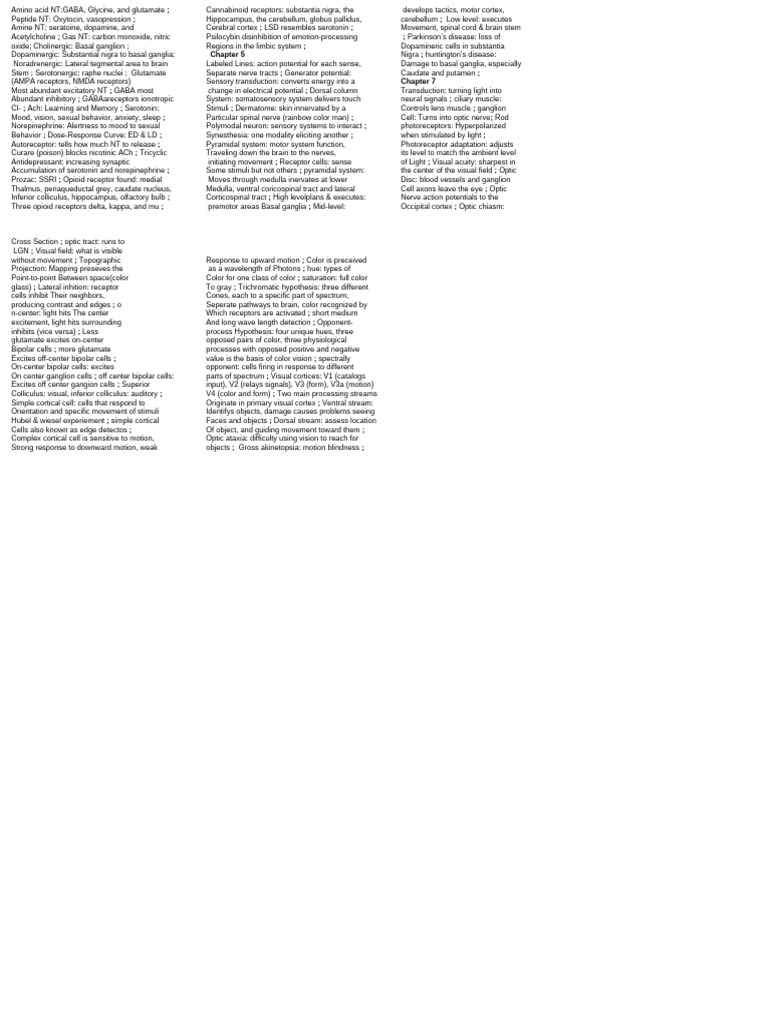 Note card | PDF | Visual Cortex | Visual System