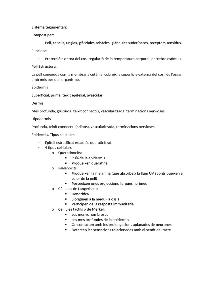 Apuntes finales | PDF