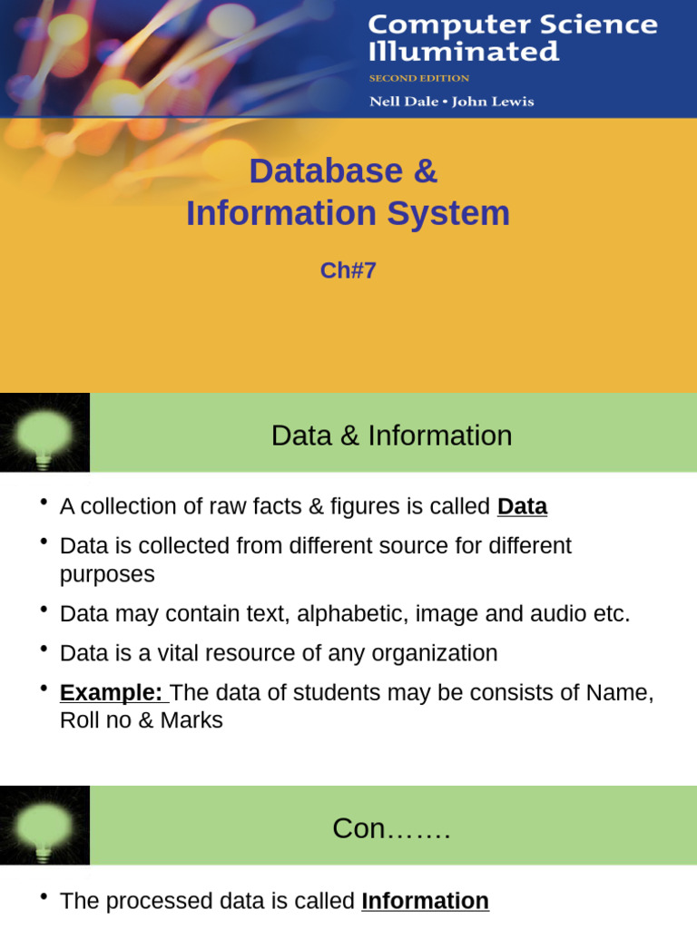 Database & Information System | PDF | Databases | Data