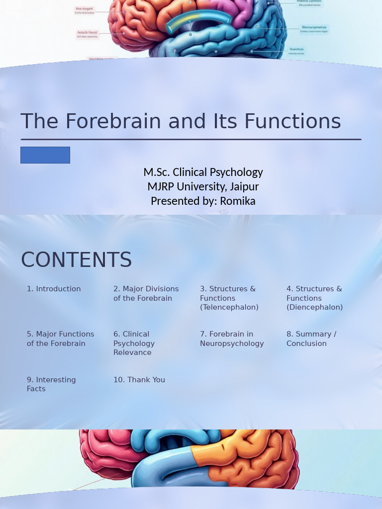 The Forebrain and Its Functions | PDF | Brain | Limbic System
