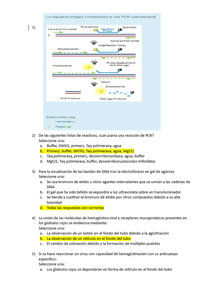 Reactivos y Técnicas en Virología y PCR | PDF | Reacción en cadena de ...
