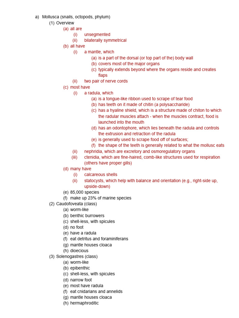 Overview of Mollusca Phylum Characteristics | PDF | Mollusca | Molluscs