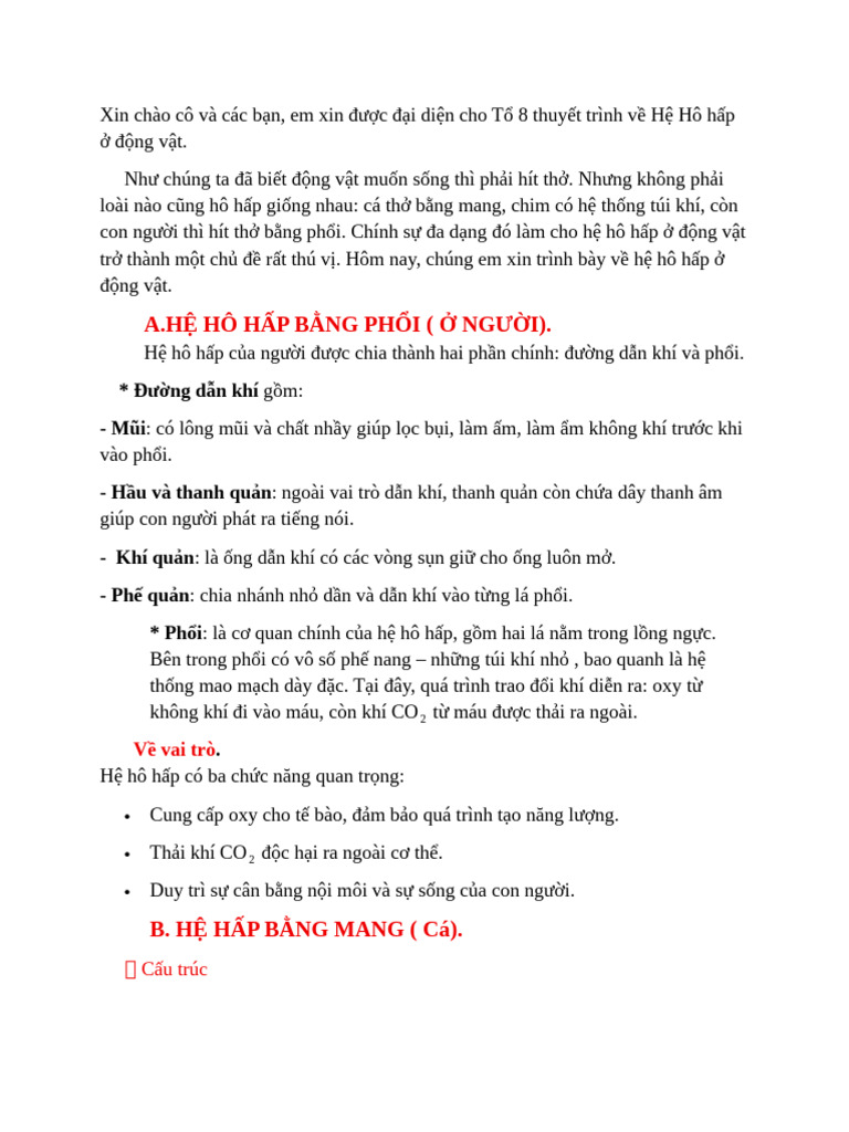 Xin chào cô và các bạn | PDF