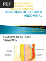 Incisión Rocky Davis | PDF | Medicina CLINICA | Anatomía