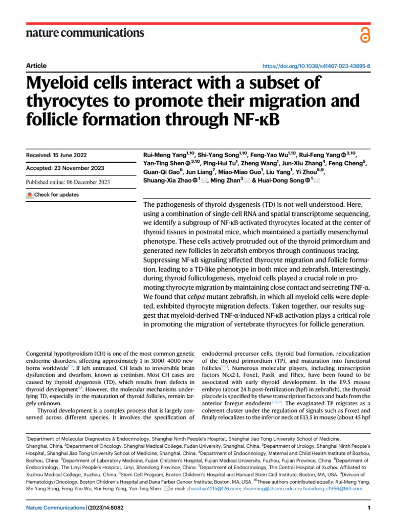 Myeloid Cells Interact With a Subset of Thyrocytes to Promote Their ...